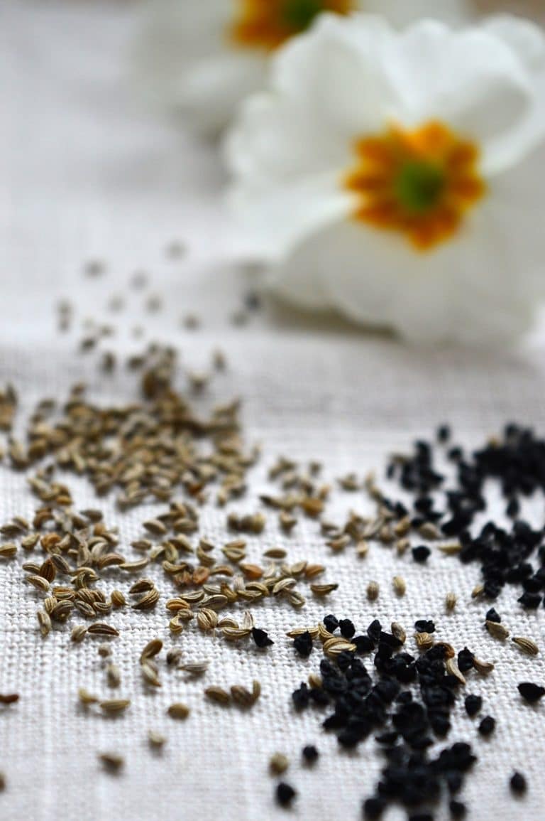 Seme je rastlina v malem - Ambienti