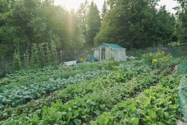 Hiša Mandrova: »Obnova hiše v lastni režiji je velik podvig« - Ambienti
