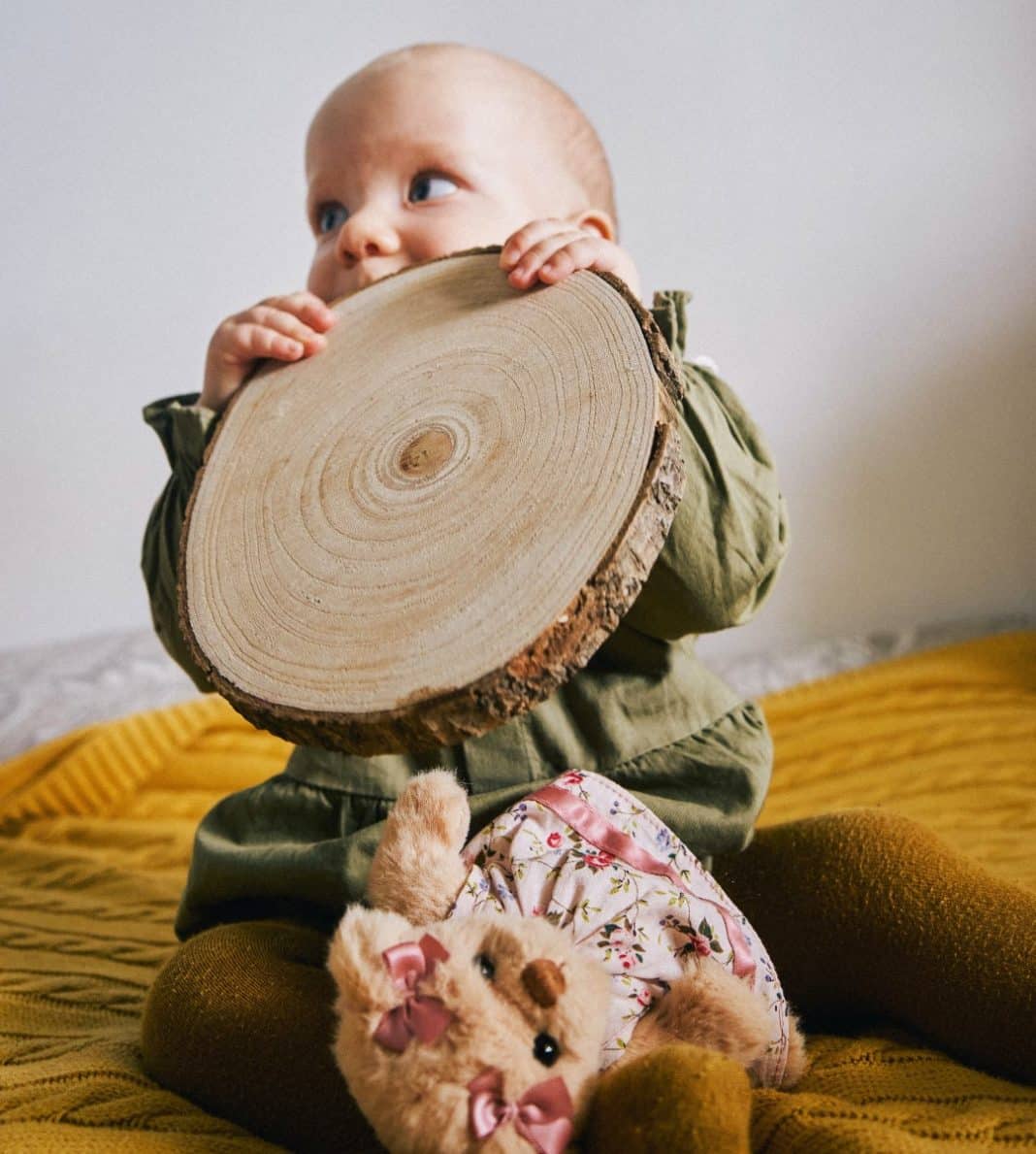 Vrste lesa in njihova raba - Ambienti