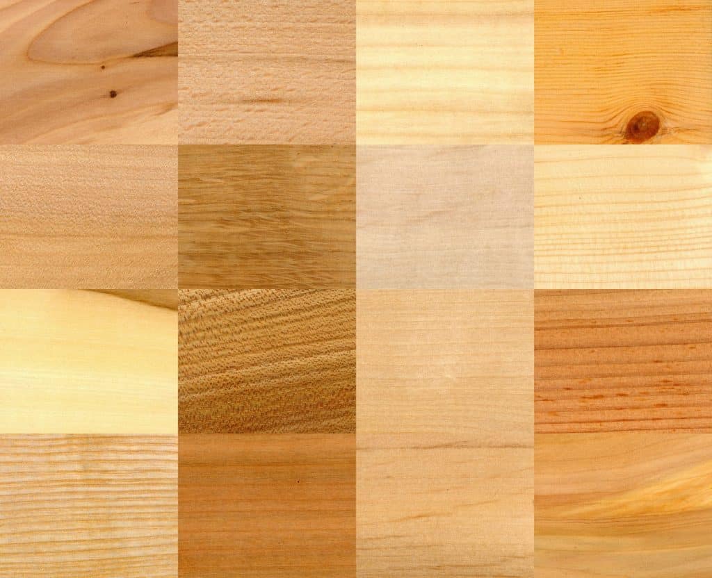 Vrste lesa in njihova raba - Ambienti