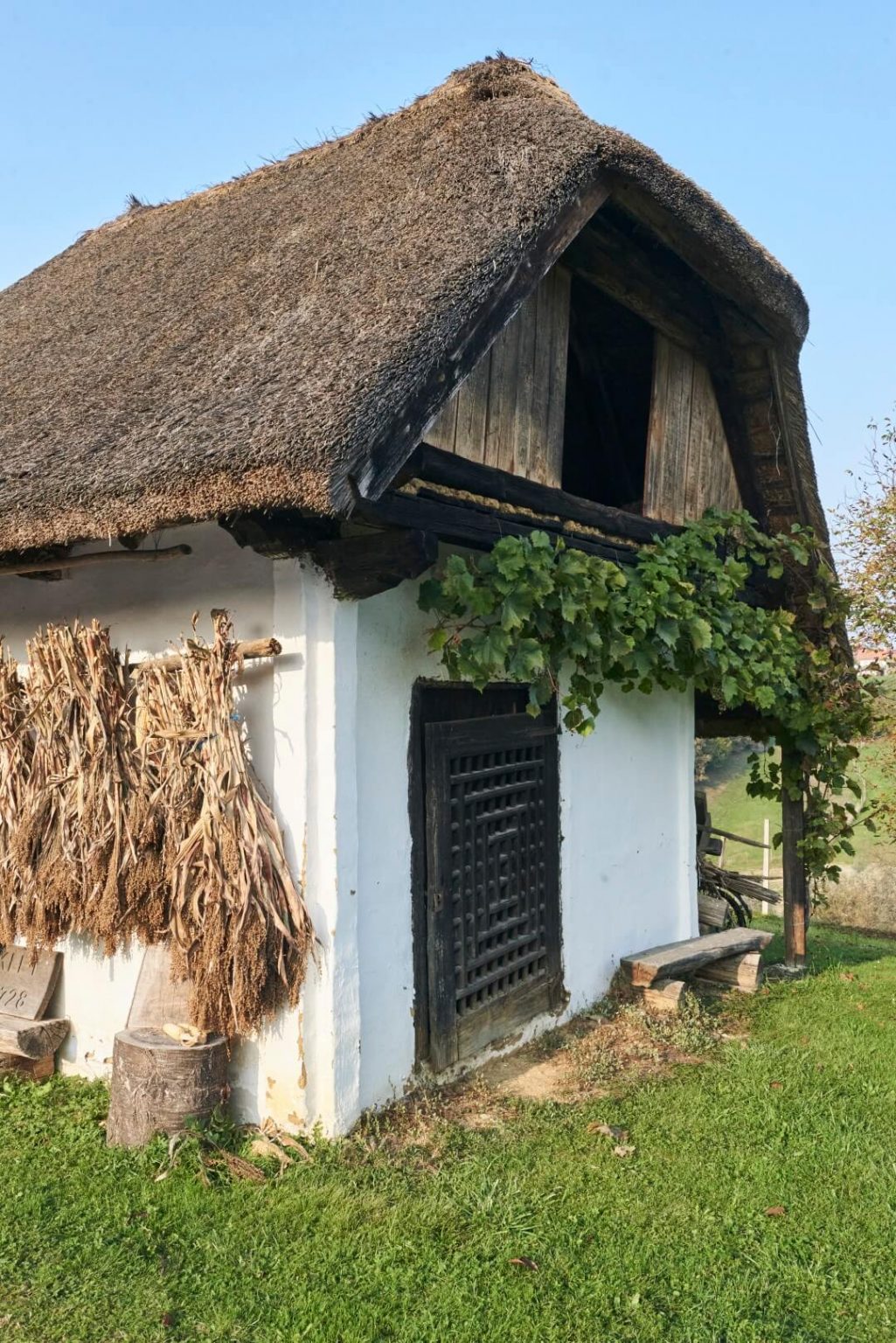 Slamnata streha: projekt oživljanja kulturne dediščine - Ambienti