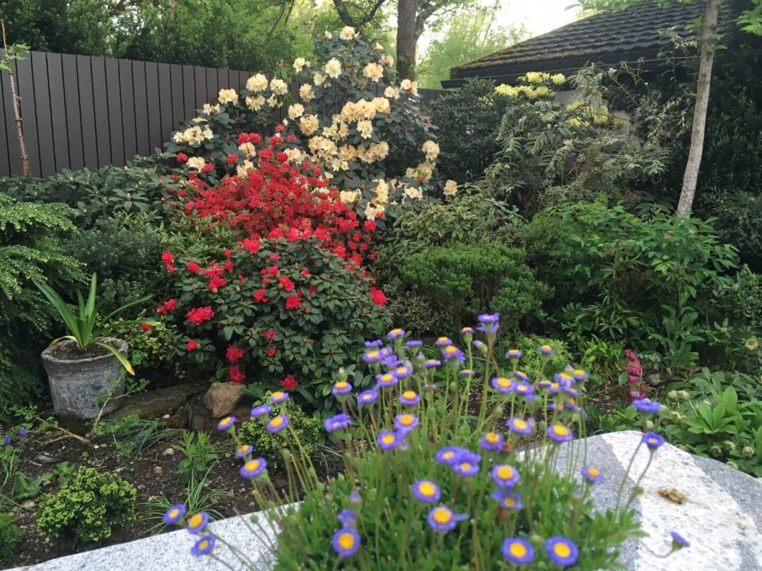 Barvit vrt, kamor lahko vstopijo le prijatelji - Ambienti