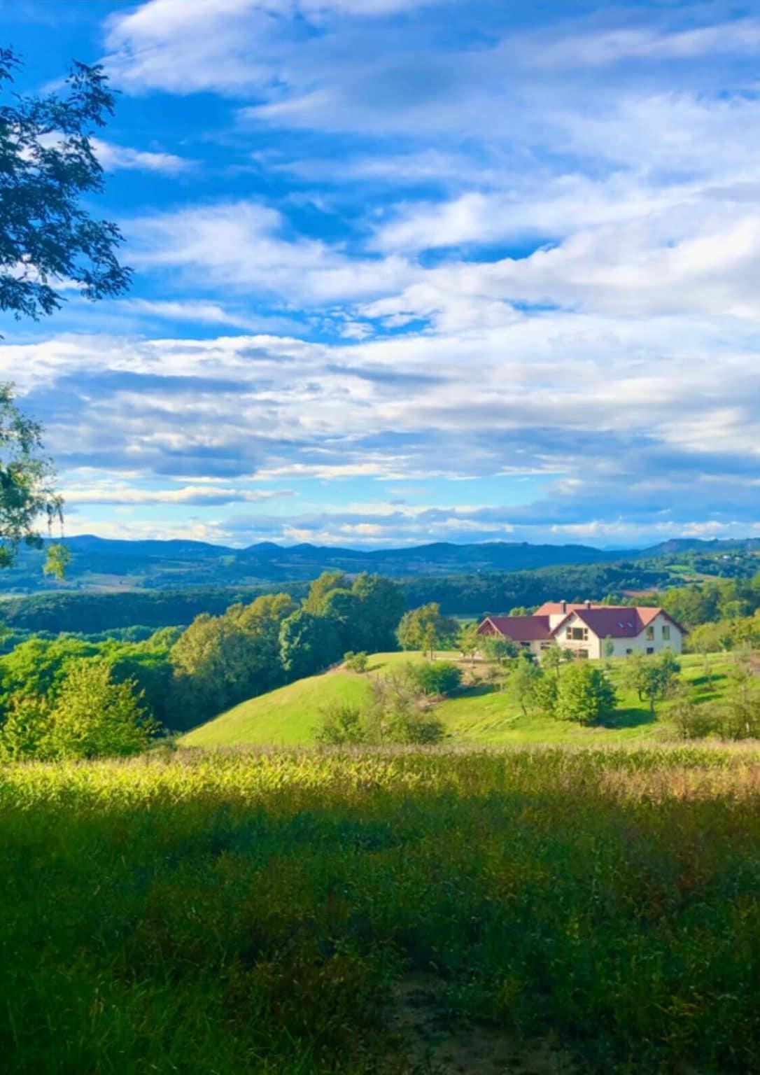 Posestvo Monstera: dom chefa Bineta Volčiča - Ambienti