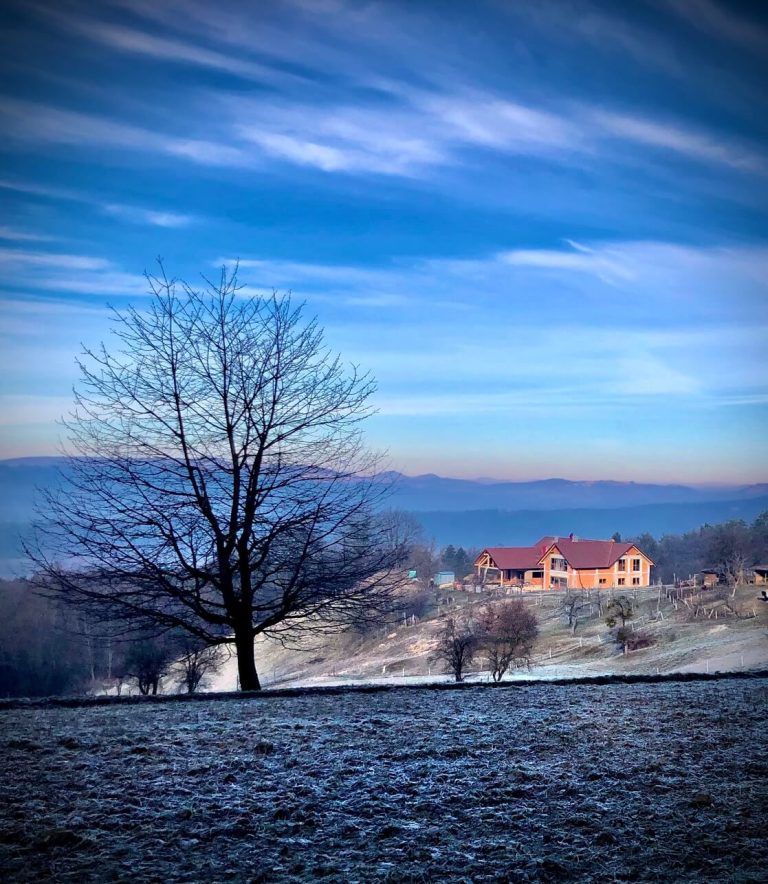 Posestvo Monstera: dom chefa Bineta Volčiča - Ambienti