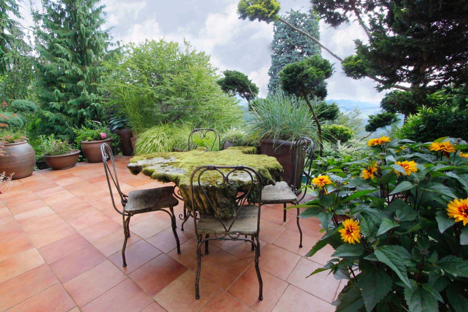 Posestvo Monstera: dom chefa Bineta Volčiča - Ambienti