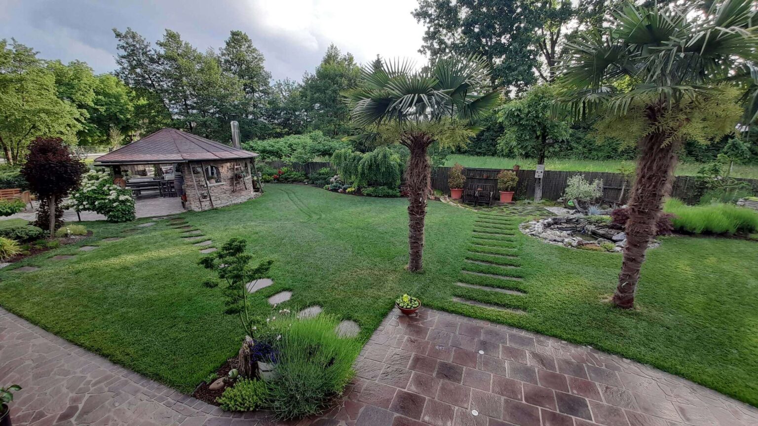 Posestvo Monstera: dom chefa Bineta Volčiča - Ambienti